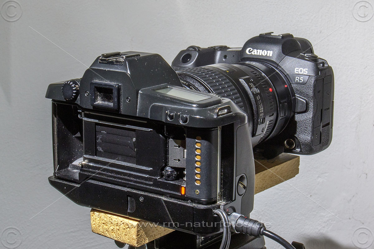 Kurzzeitblitztechnik (4) mit EOS R-Kameras und der analogen EOS RT ...