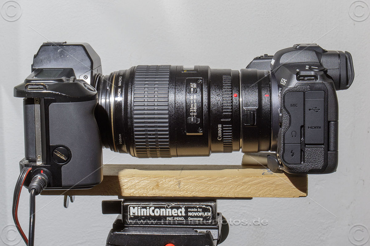 Kurzzeitblitztechnik (4) mit EOS R-Kameras und der analogen EOS RT ...